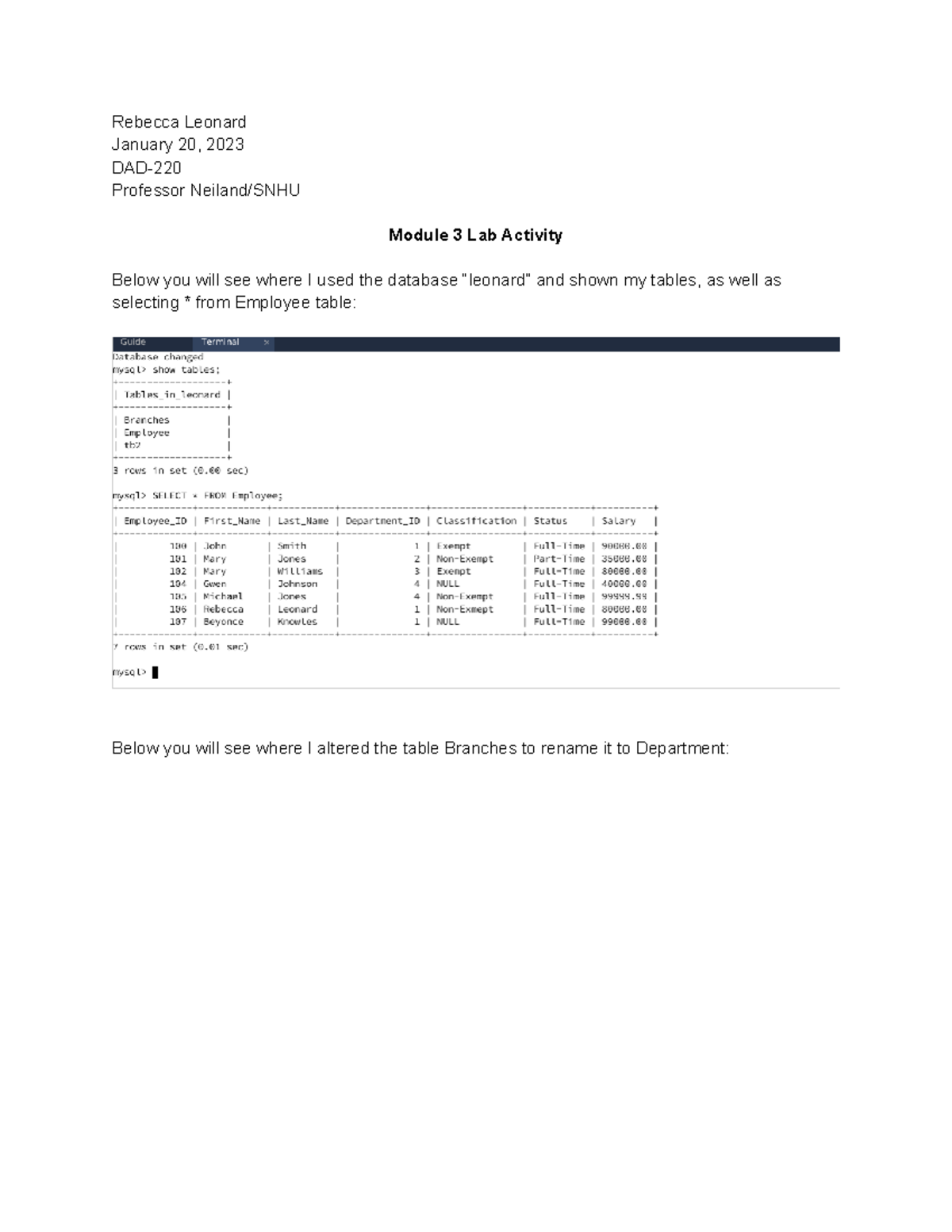 Module 3 Lab activity - Rebecca Leonard January 20, 2023 DAD- Professor ...
