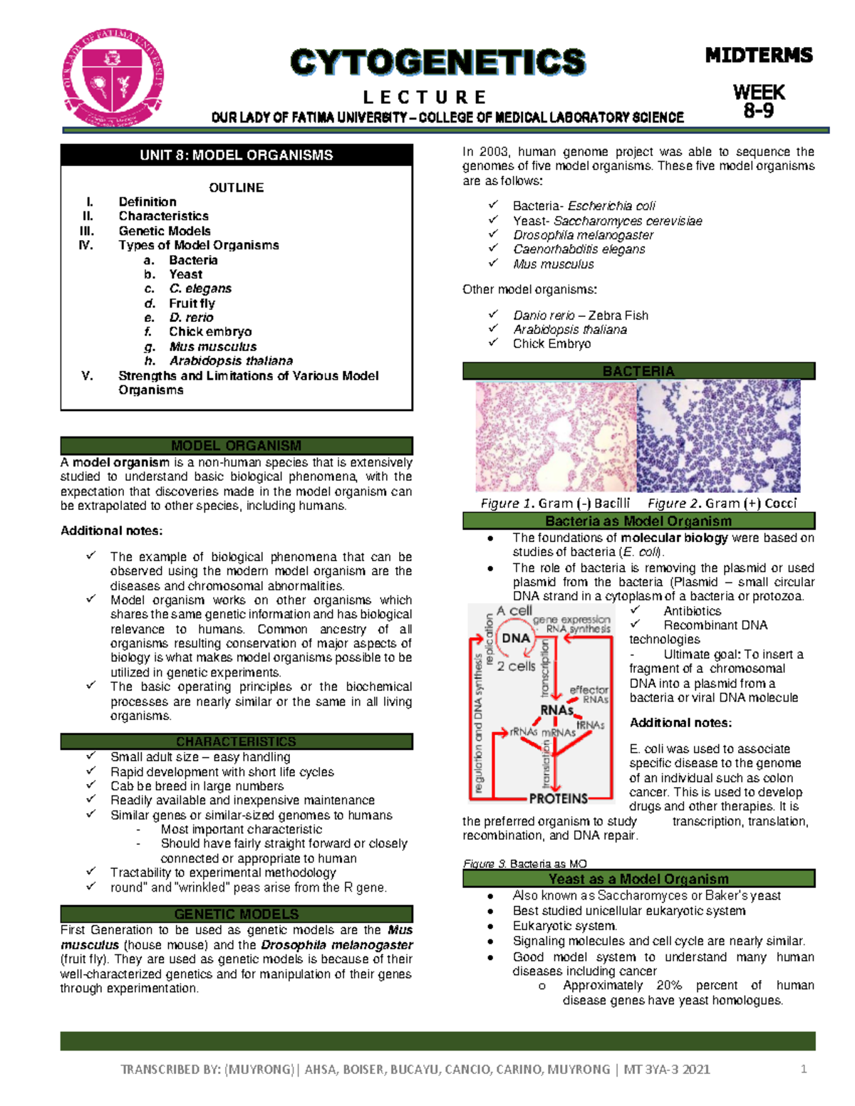 CYTO 311 Week 89 Model Organisms Mendelian Genetics II and Pedigree ...