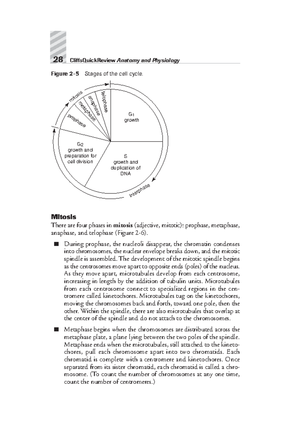 Plasma membrane - 28 CliffsQuickReview Anatomy and Physiology Figure 2 ...