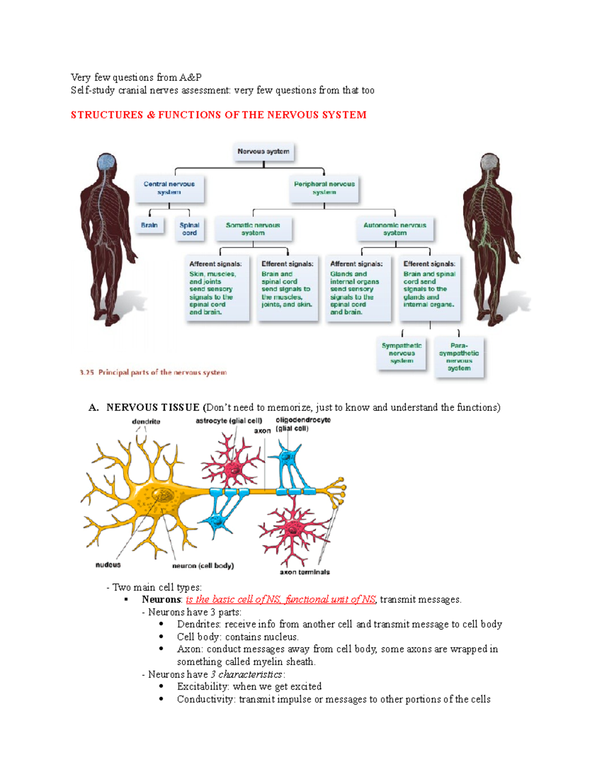 Neuro-structures & functions - Very few questions from A&P Self-study ...