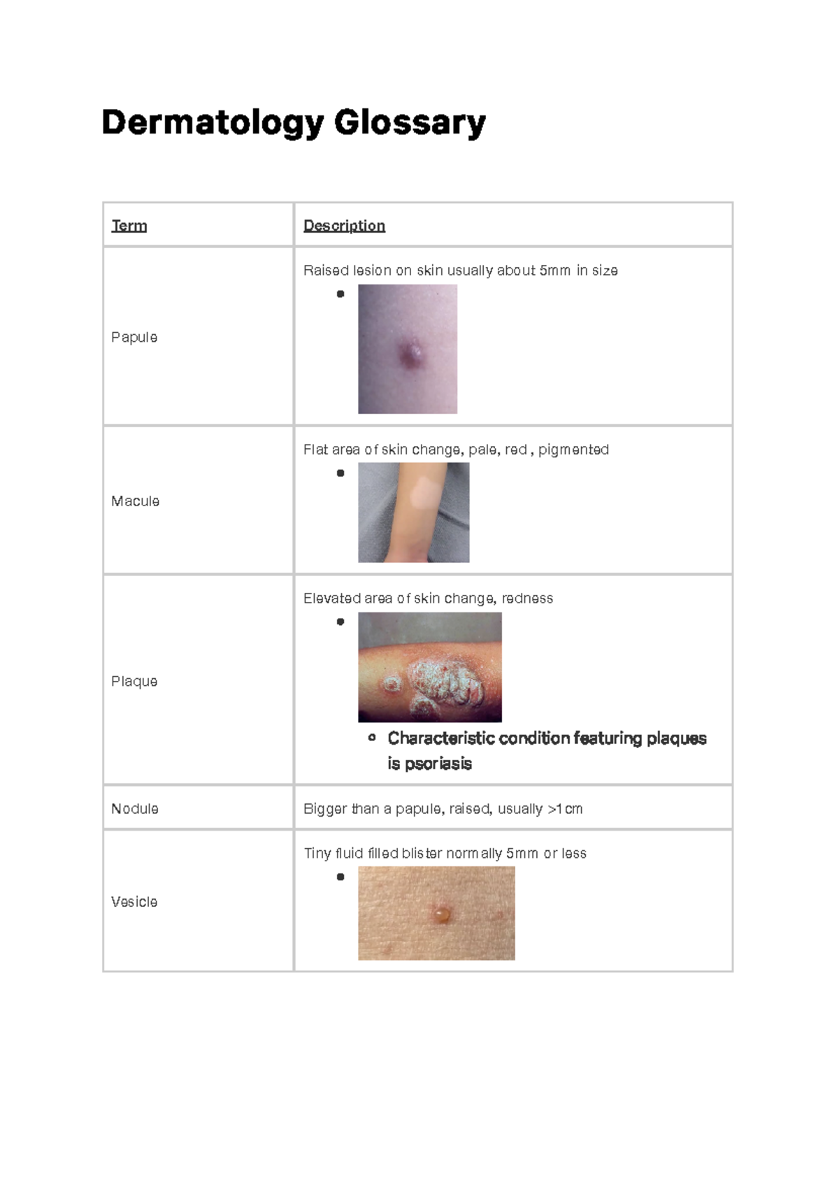 Dermatology Glossary - D e r m a to l o g y G l o ss a r y Term ...