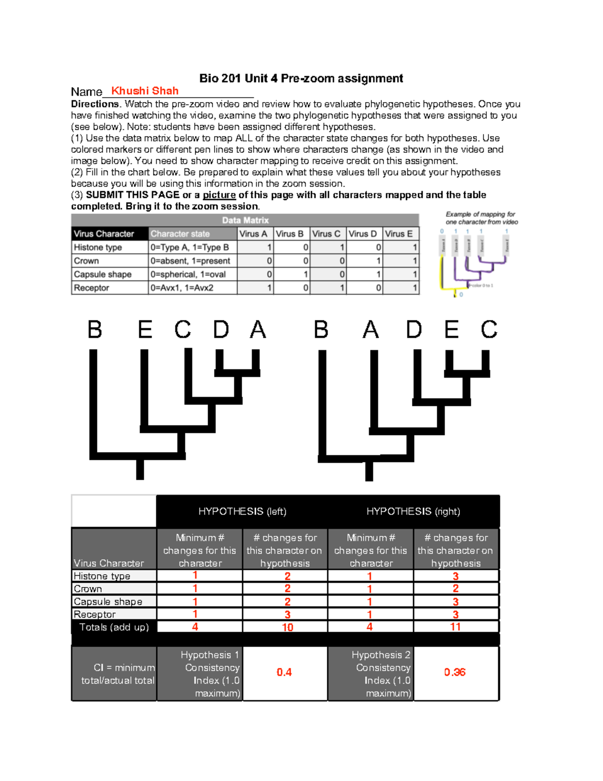4D Unit 4 pre zoom worksheet - Bio 201 Unit 4 Pre-zoom assignment Name