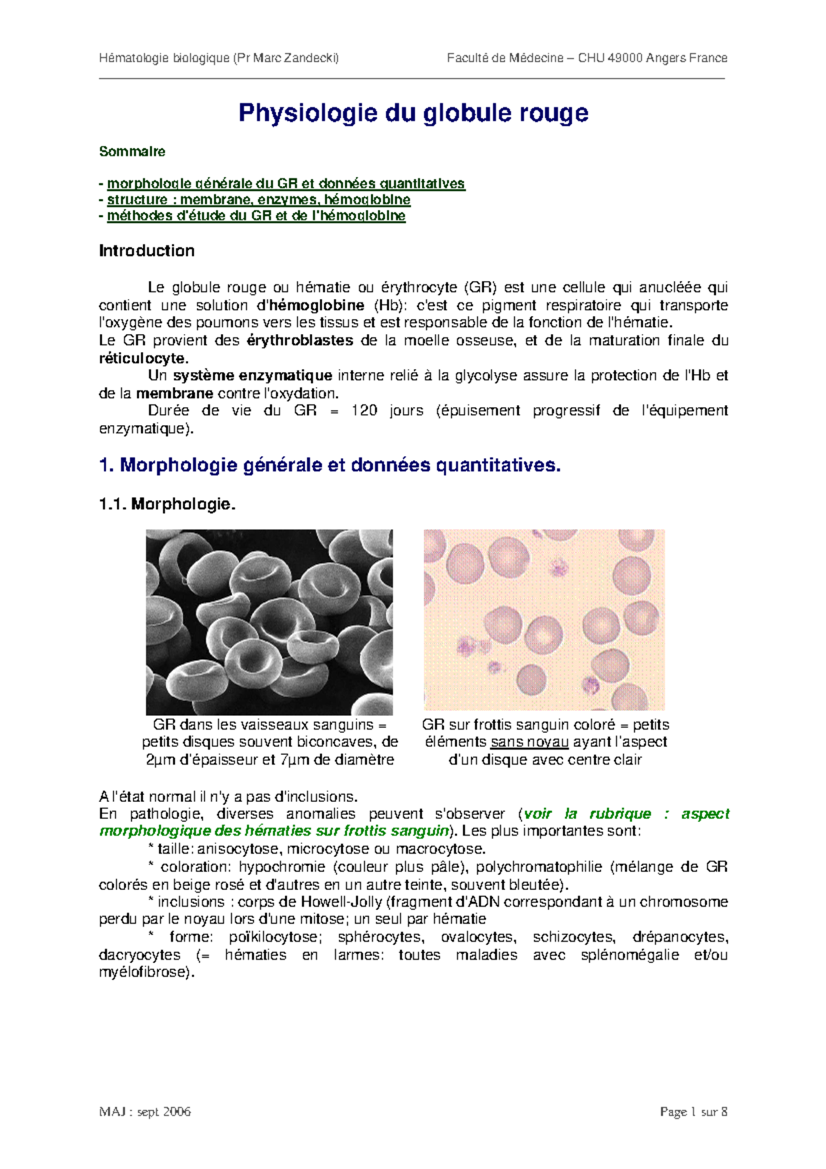 3physio GR - Physiologie du globule rouge Sommaire morphologie générale ...