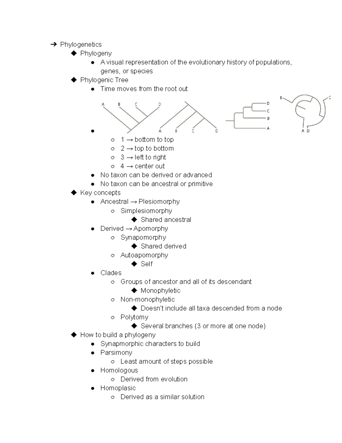 Evolution Exam 3 - Phylogenetics Phylogeny A visual representation of ...