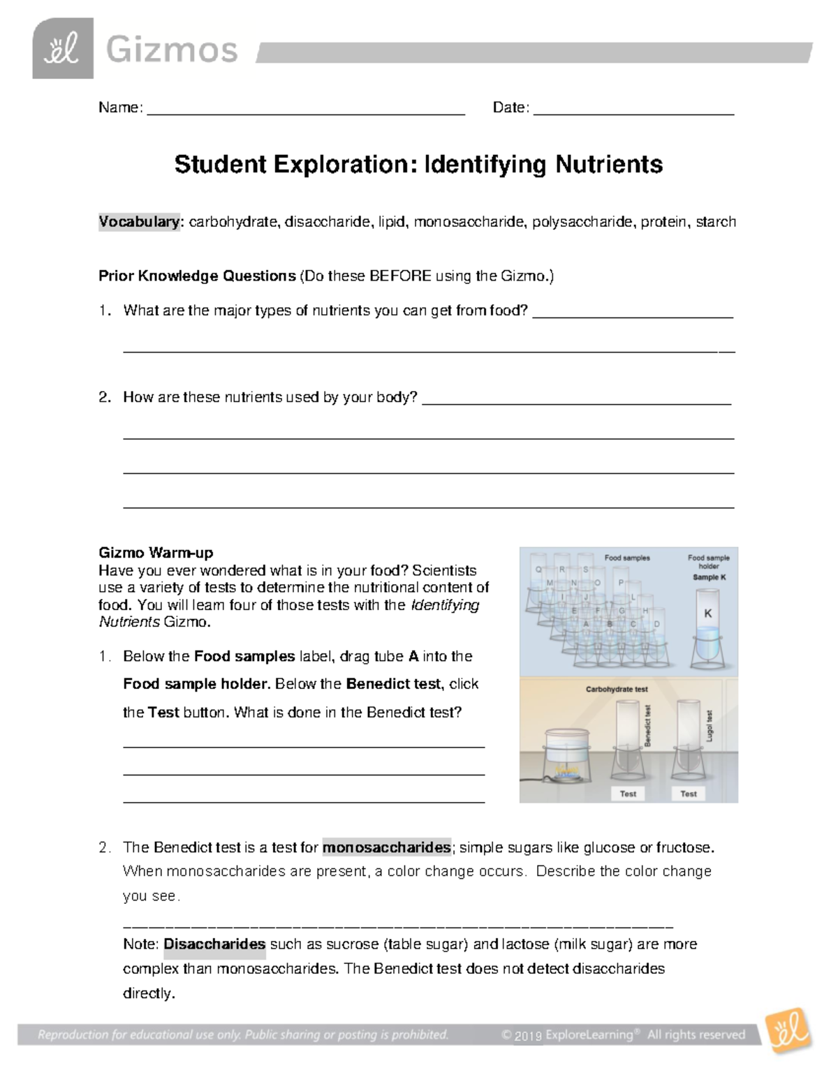 Gizmos Identifying Nutrients Modified - Name ...