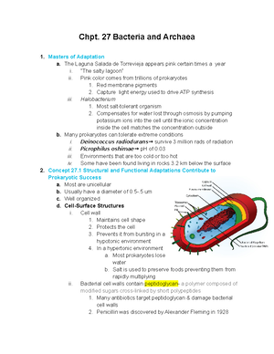 Bacteria Concept Map - Bacteria cocci bacilli spirals Nomenclature ...
