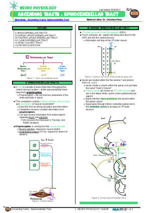 Brachial Plexus atf - hffh - Brachial Plexus NEURO PHYSIOLOGY: Note #1 ...