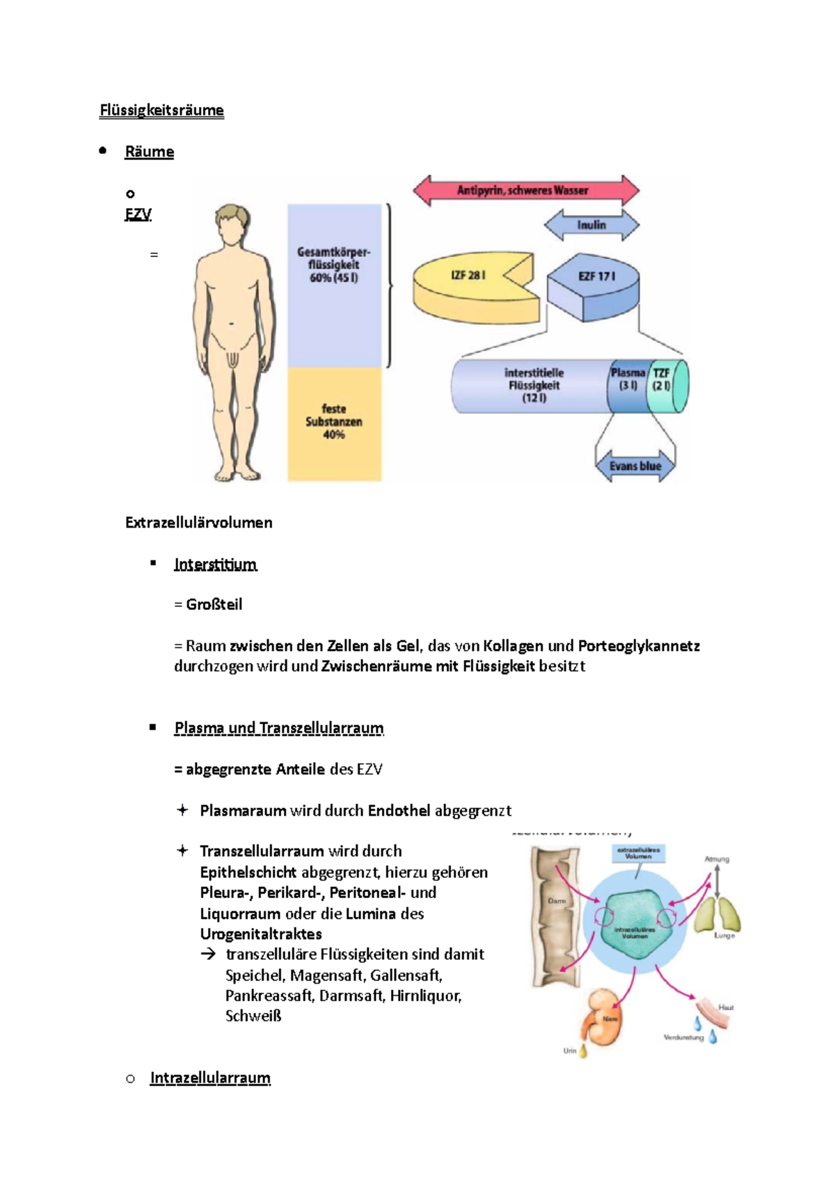 Flüssigkeitsräume - Physiologie im Themenblock Atmung, Homöostase und ...