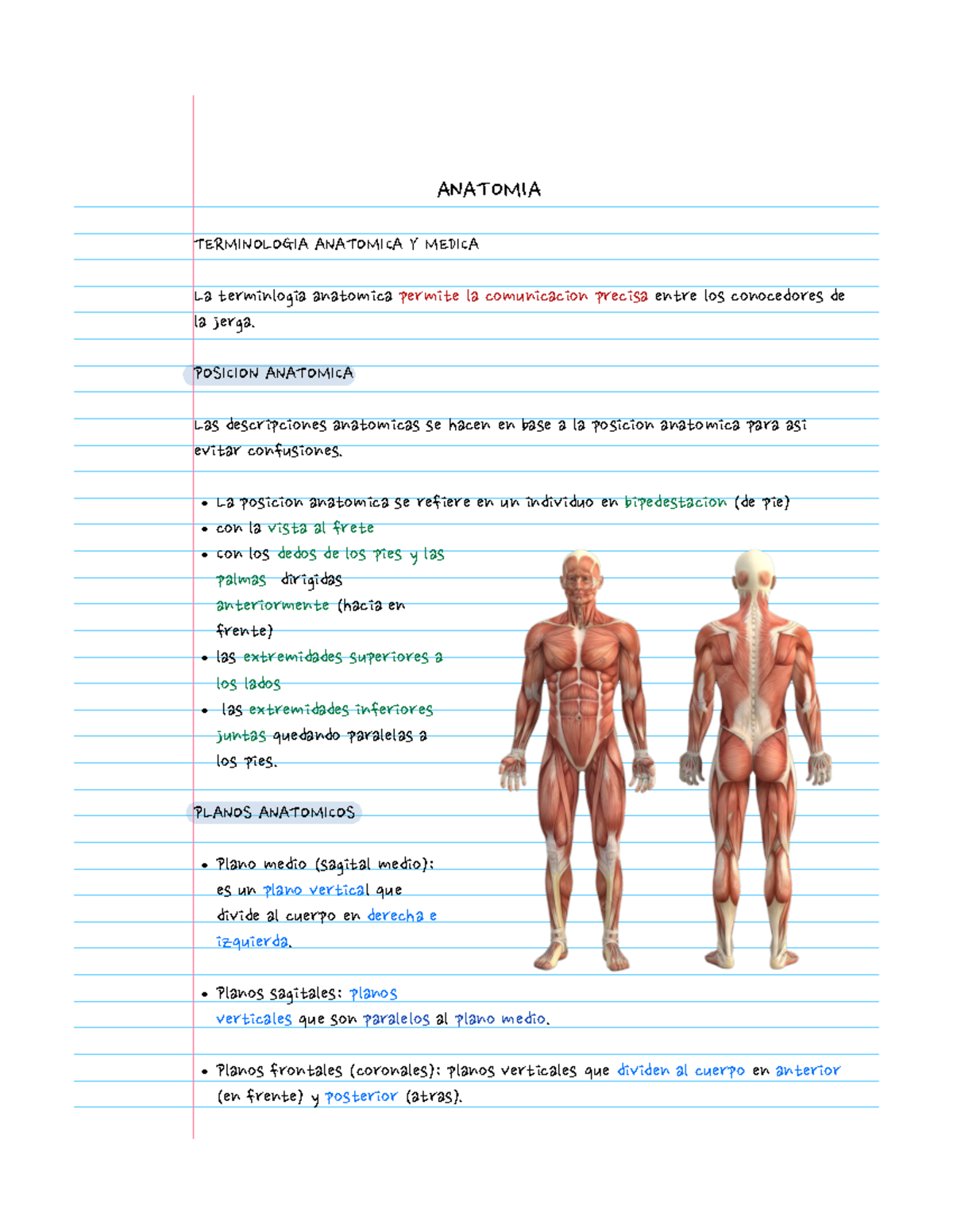 Terminos Anatomicos - ANATOMIA TERMINOLOGIAANATOMICAYMEDICA - Studocu