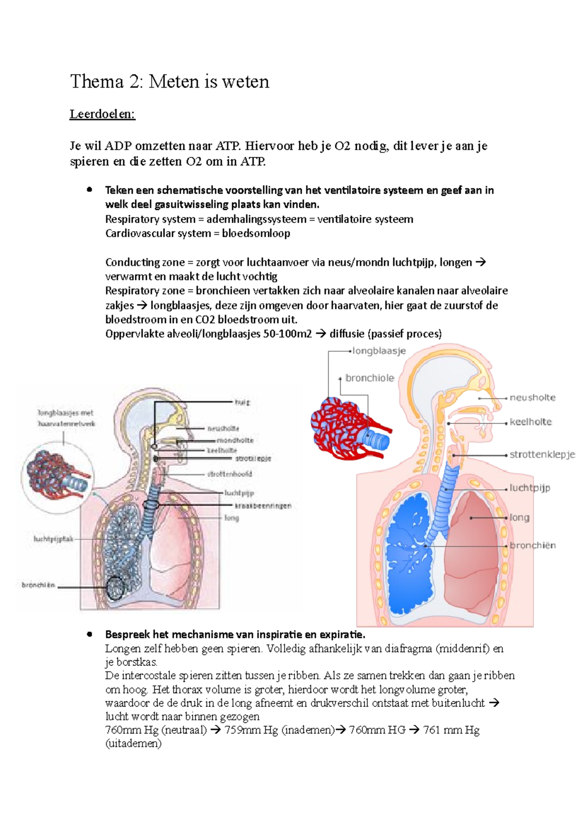 Week 2 Samenvatting - Thema 2: Meten is weten Leerdoelen: Je wil ADP ...