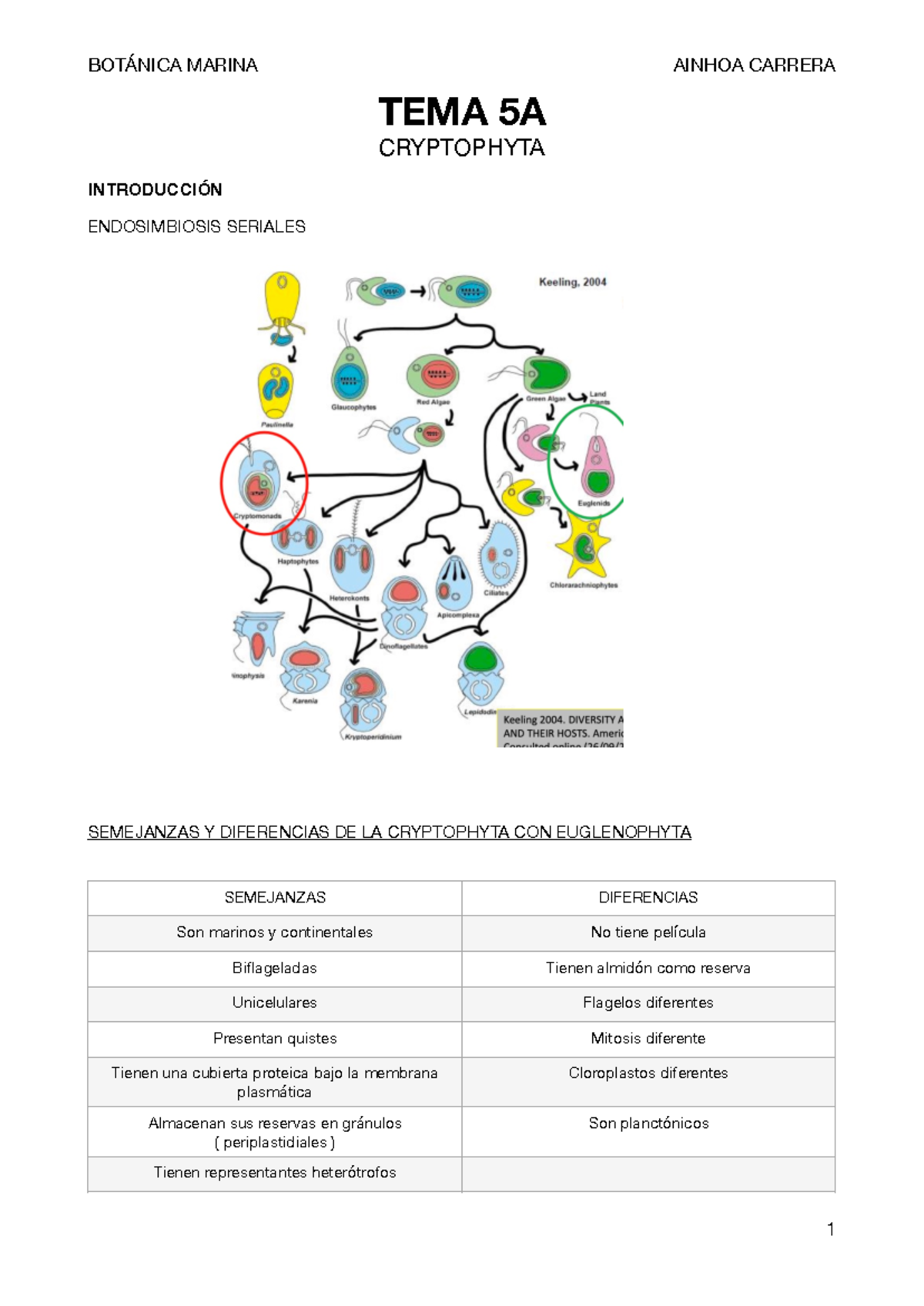 TEMA5A- BOTÁNICA Marina - TEMA 5A CRYPTOPHYTA INTRODUCCIÓN ...
