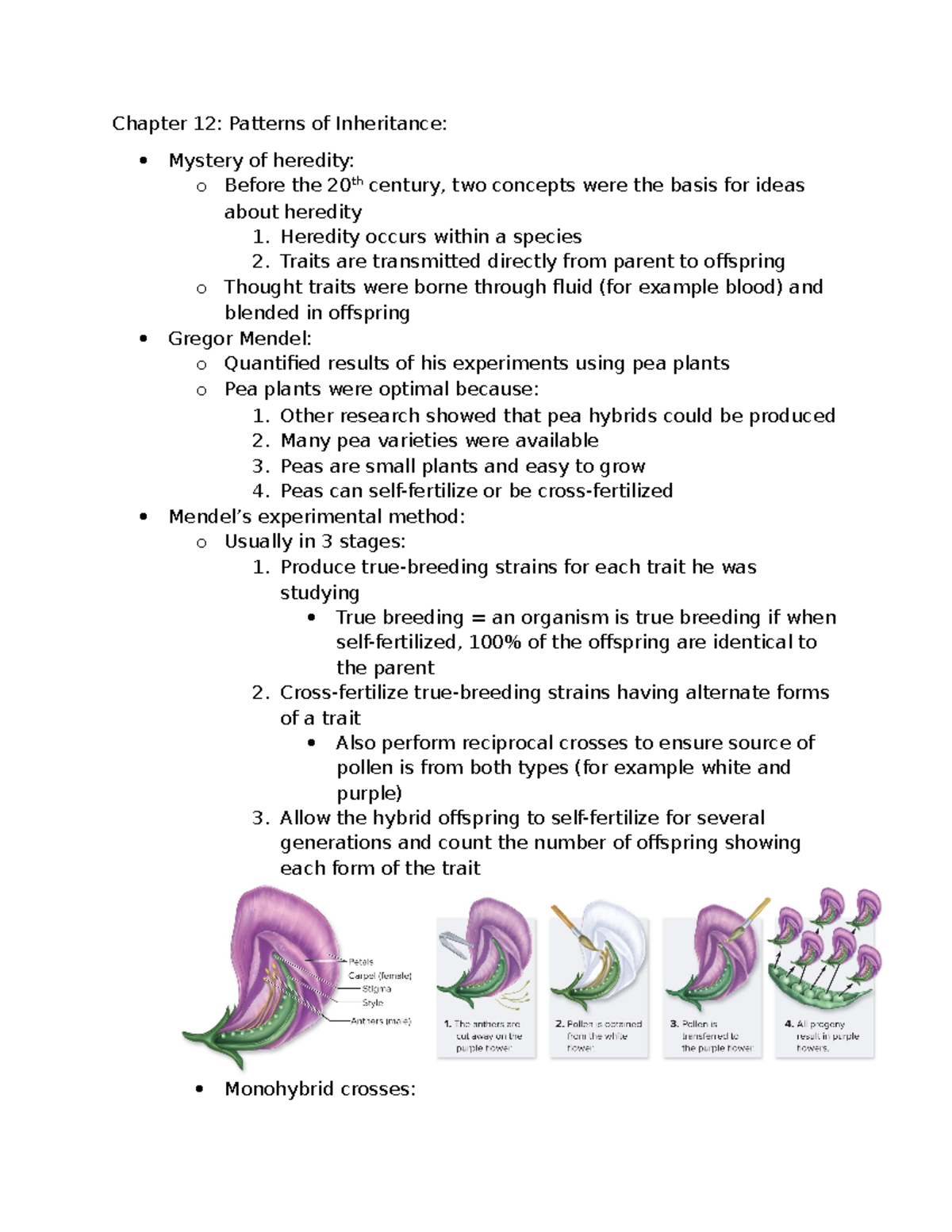 Chapter 14 notes BIO - Chapter 12: Patterns of Inheritance: Mystery of ...
