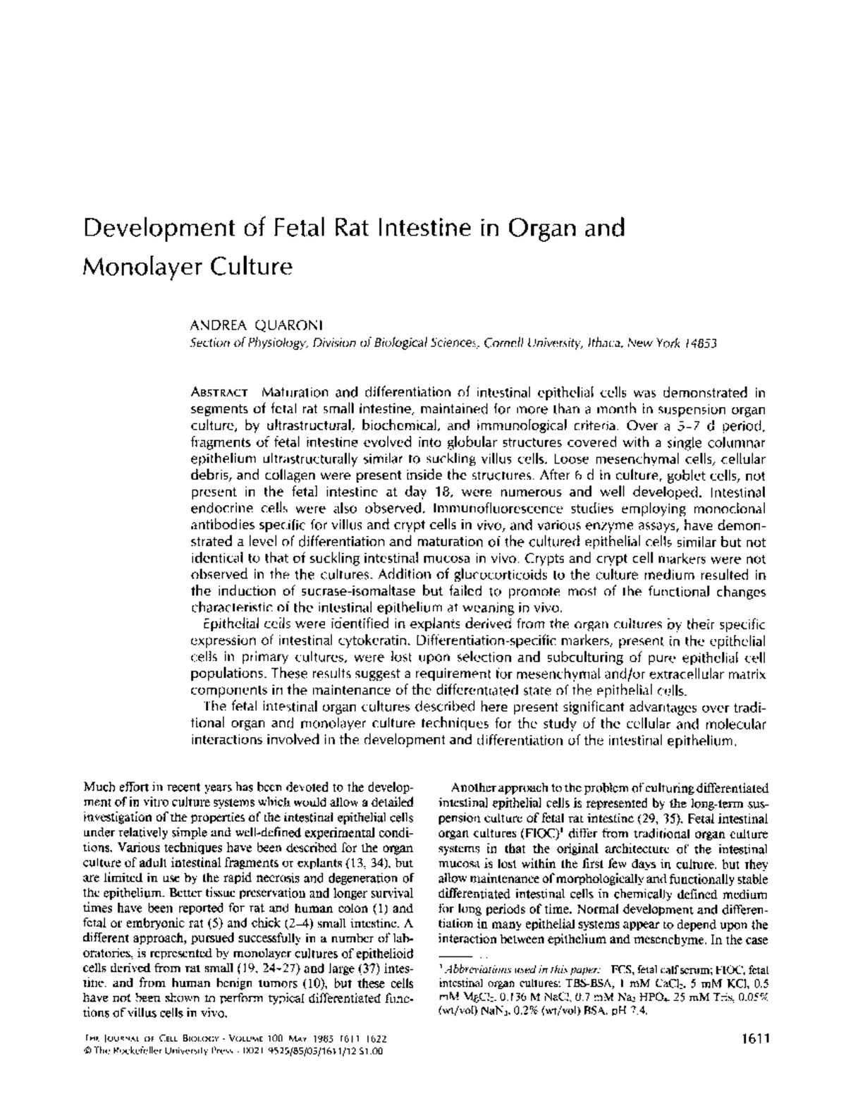 Development of Fetal Monolayer Culture Rat Intestine in Organ and ...