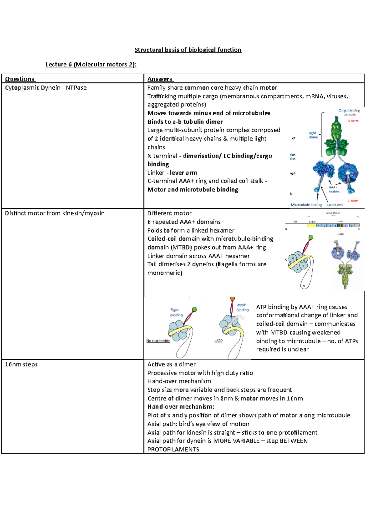 Revision - lecture 6 - Structural basis of biological function Lecture ...