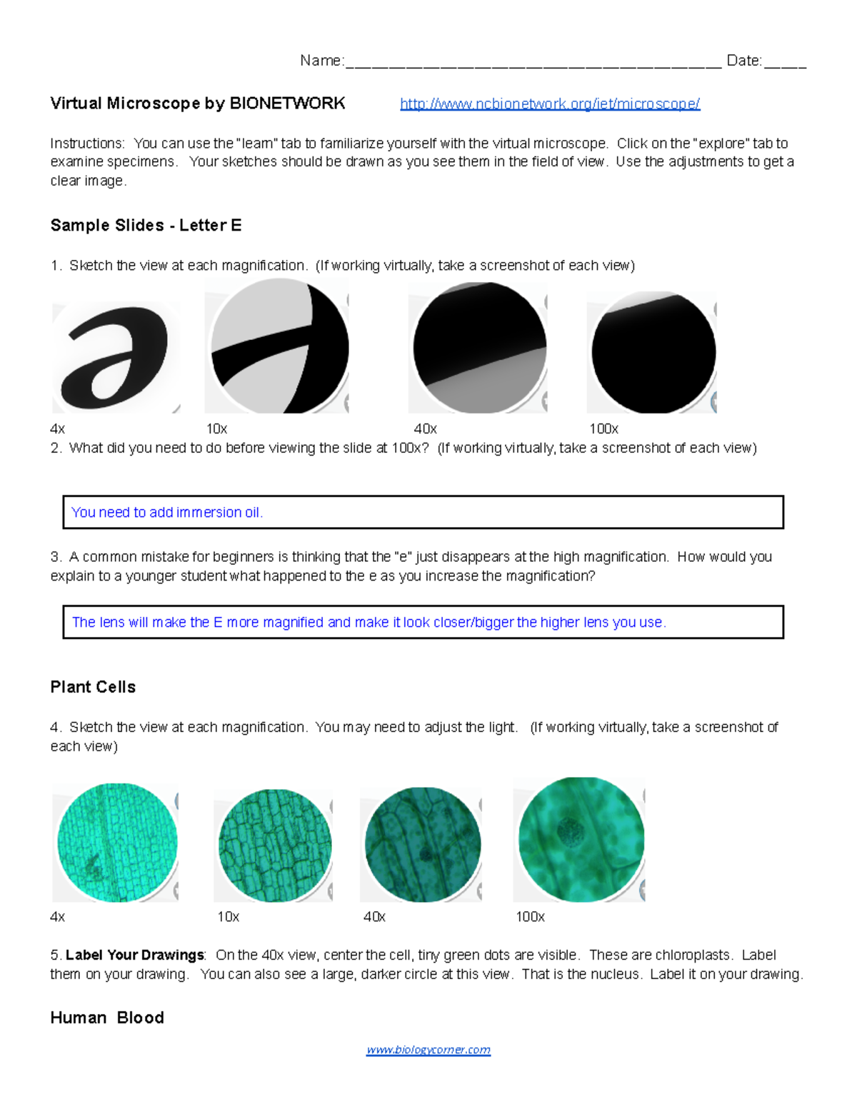 Virtual Microscope from Biology Corner - Name