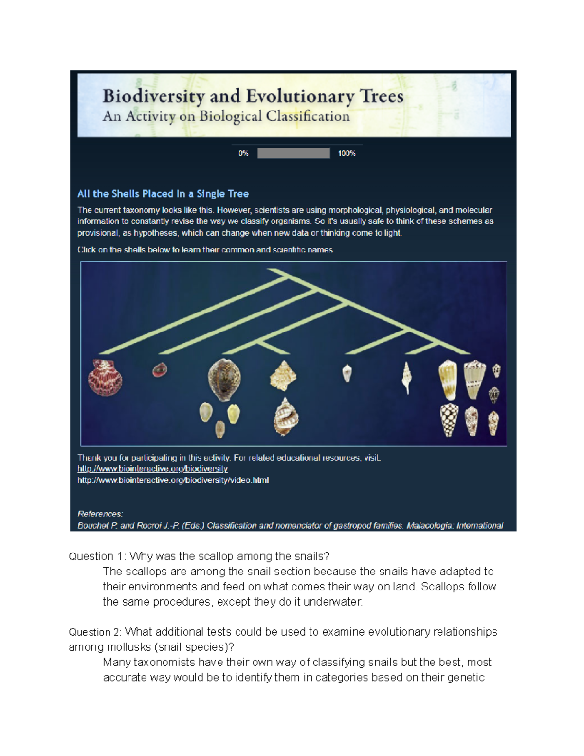 Taxonomy Activity - Question 1: Why was the scallop among the snails ...