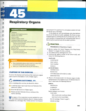 41 Lab Exercise - BIO 201 - Studocu