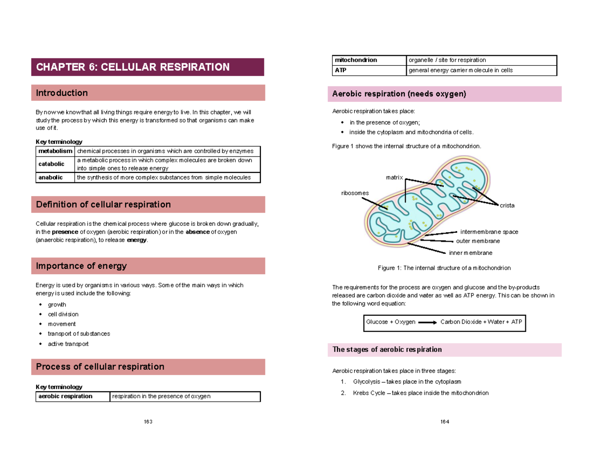 Cellular Respiration - Textbook used by department to set external ...