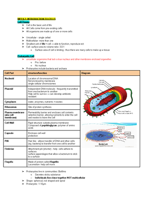 Lec 1 Intro to Cells - This is a comprehensive set of notes taken in ...