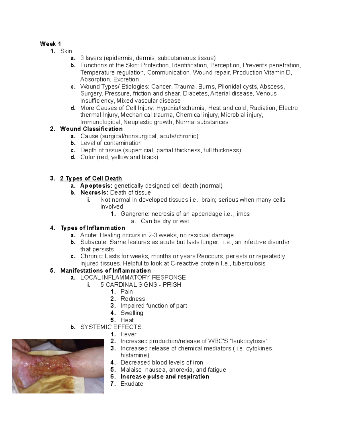 Test 1 Theory A (Week 1-4) - Week 1 1. Skin a. 3 layers (epidermis ...
