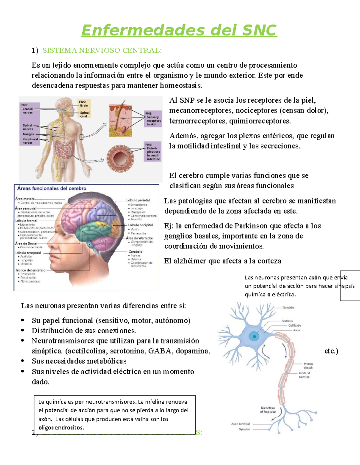 Fisiopatologia enfermedades del SNC - Enfermedades del SNC 1) SISTEMA NERVIOSO CENTRAL: Es un ...
