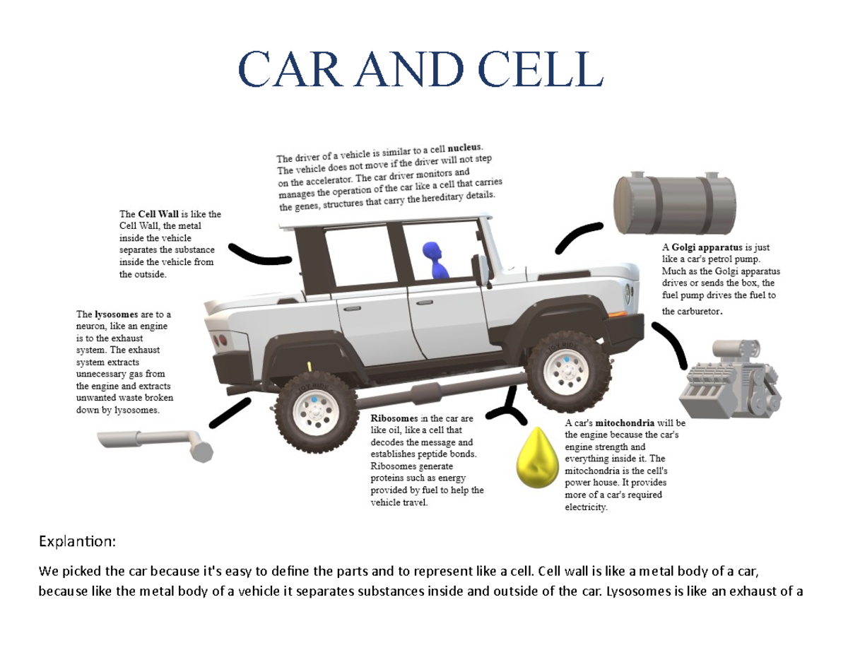 Poster - CAR AND CELL Explantion: We picked the car because it's easy ...