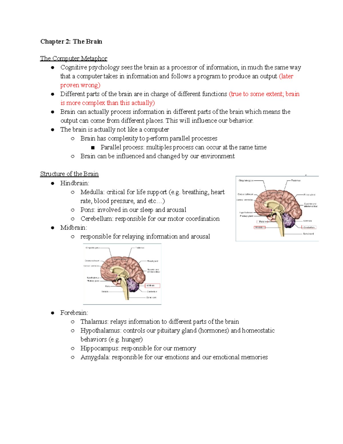 Chapter 2 - The Brain - BCS 111 with Professor Martina Poletti ...