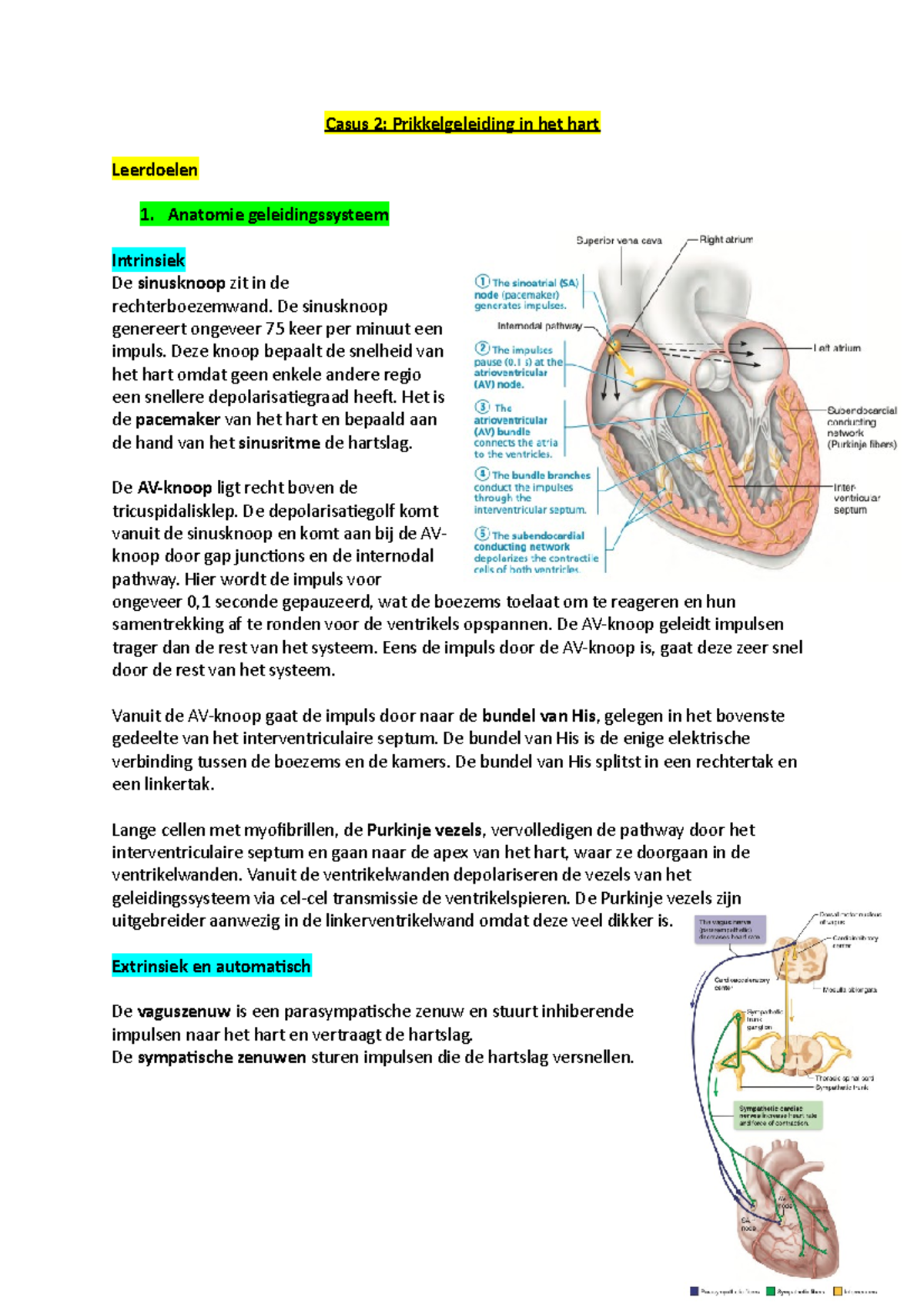 Geneeskunde Casus 2 - Casus 2: Prikkelgeleiding in het hart Leerdoelen ...