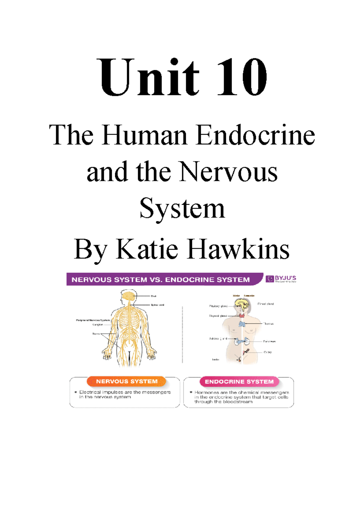 Unit 10 -The Human Endocrine and the Nervous System - Unit 10 The Human ...