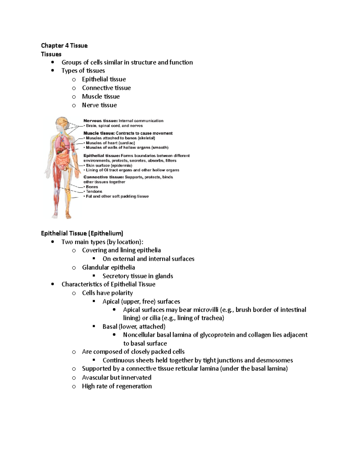 Chapter 4 Tissue - cpcc - Chapter 4 Tissue Tissues Groups of cells ...