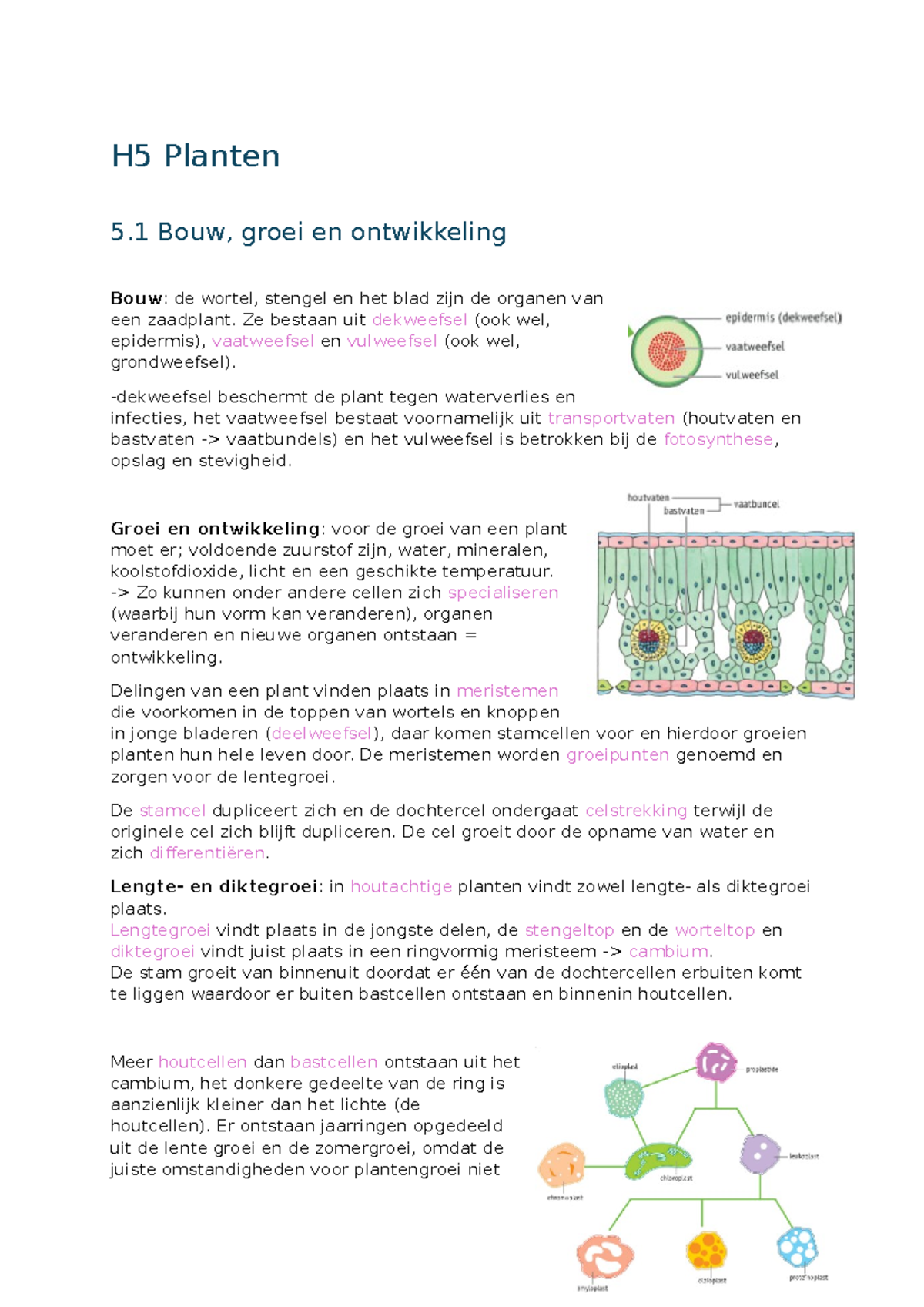 Biologie H5 v5 - H5 Planten 5 Bouw, groei en ontwikkeling Bouw: de ...