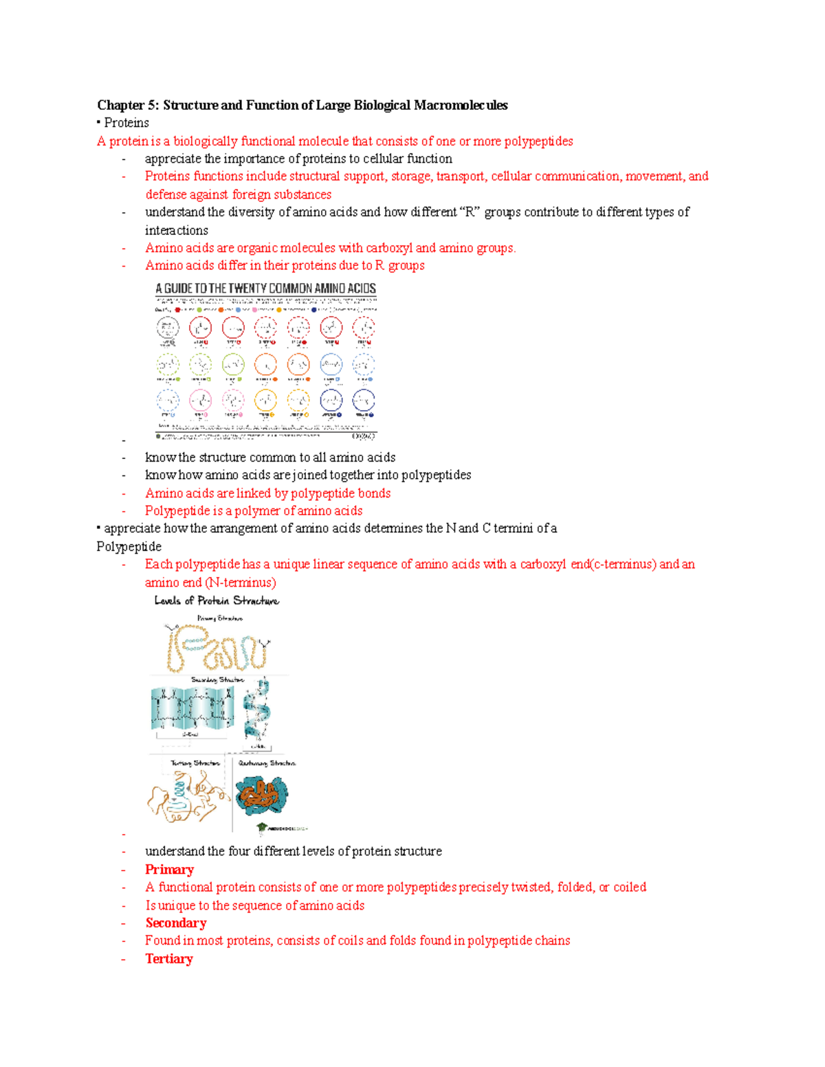 BSC Exam 2 Study Guide - Chapter 5: Structure and Function of Large ...