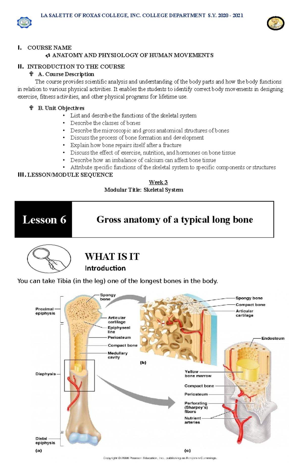 Anatomy Week 3(Lesson 6-8) - LA SALETTE OF ROXAS COLLEGE, INC. COLLEGE ...