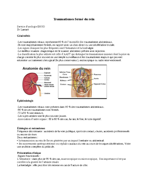 TD PEC Dysfonctionnements pelvi-périnéaux - TD Préparer par Pr BENLEBNA ...