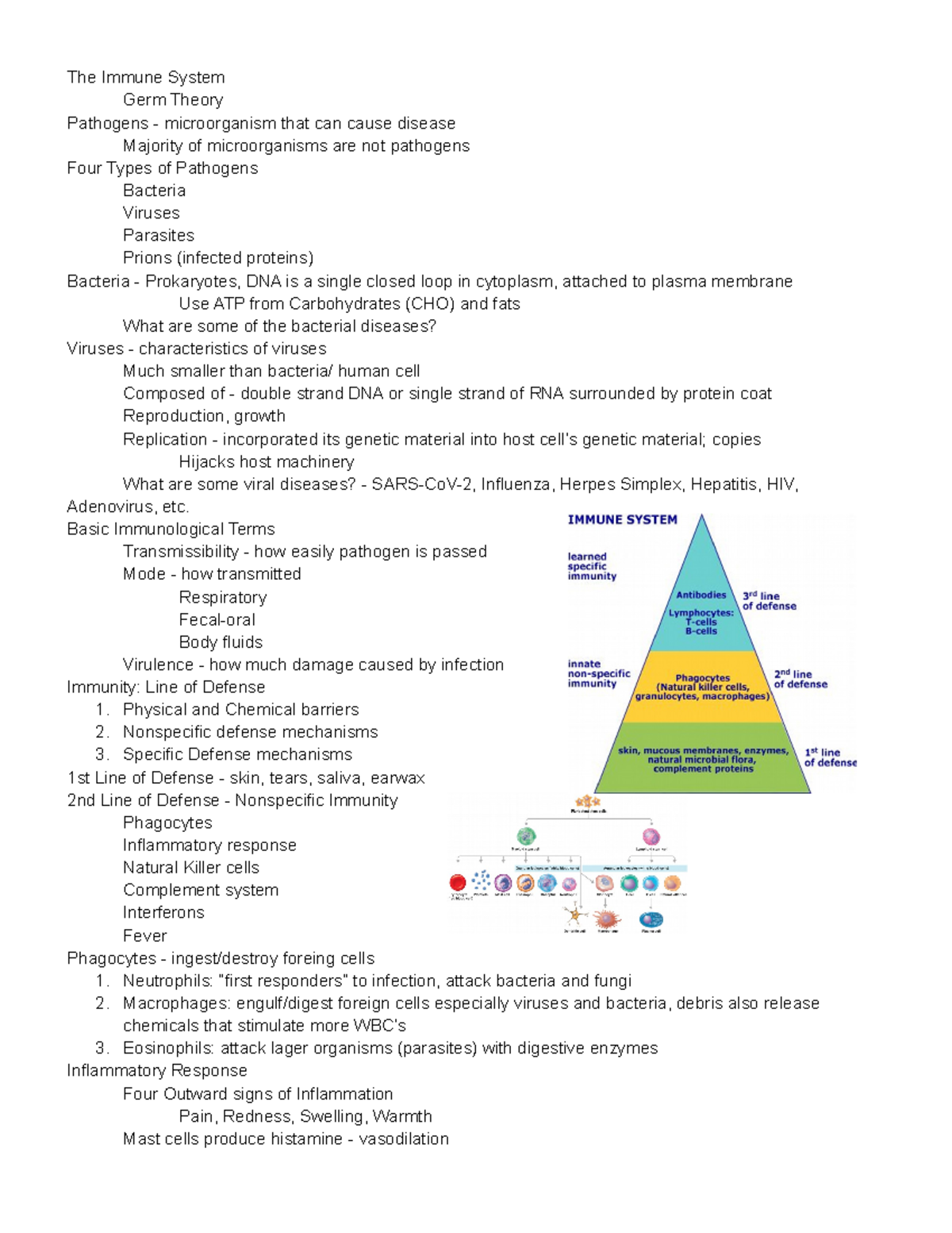 Chapter 9 - Human Biology - The Immune System Germ Theory Pathogens ...