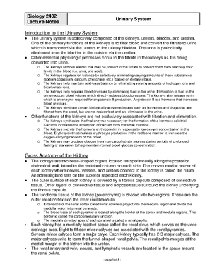 Biology 2402 - Ch. 23 - Respiratory System - Lecture Notes Respiratory ...