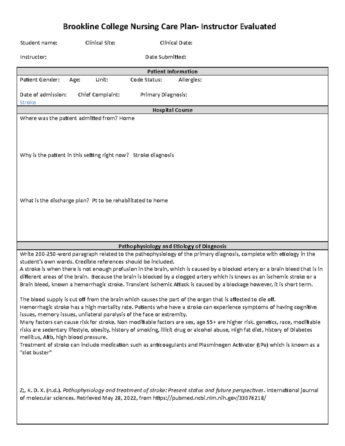 Blank CARE PLAN - Brookline College Nursing Care Plan- Instructor ...