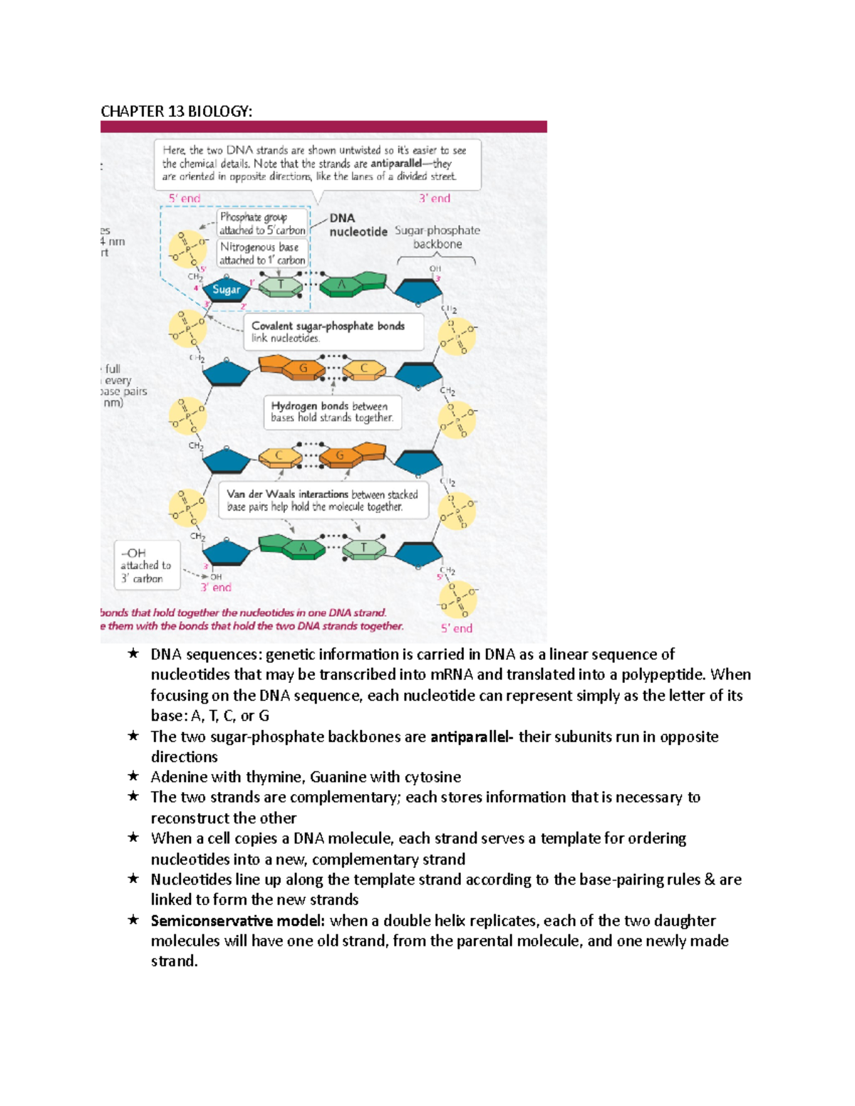 UNL LIFE 120 Chapter 13 Pre-Lecture and Lecture Notes - CHAPTER 13 ...