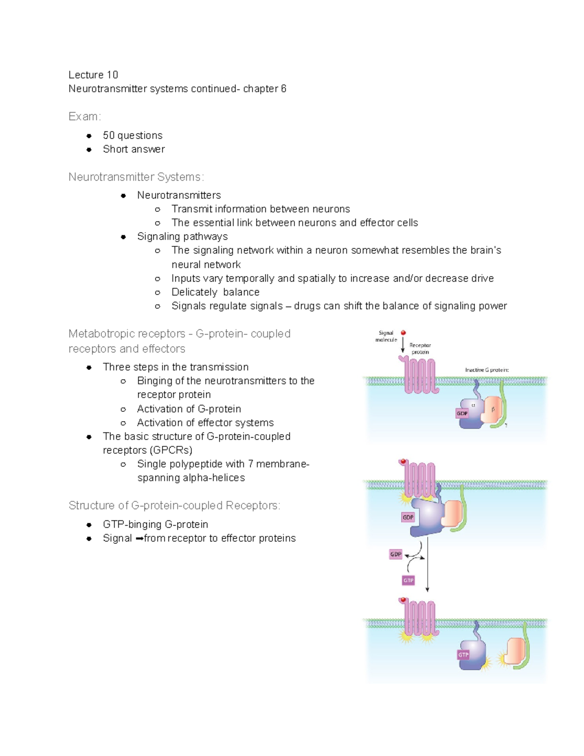 BIO 302 Lecture 10 - Cassone Fall 2022 - Lecture 10 Neurotransmitter ...