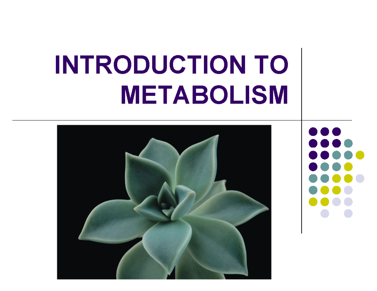 Metabolism - slides - INTRODUCTION TO METABOLISM Metabolism ...