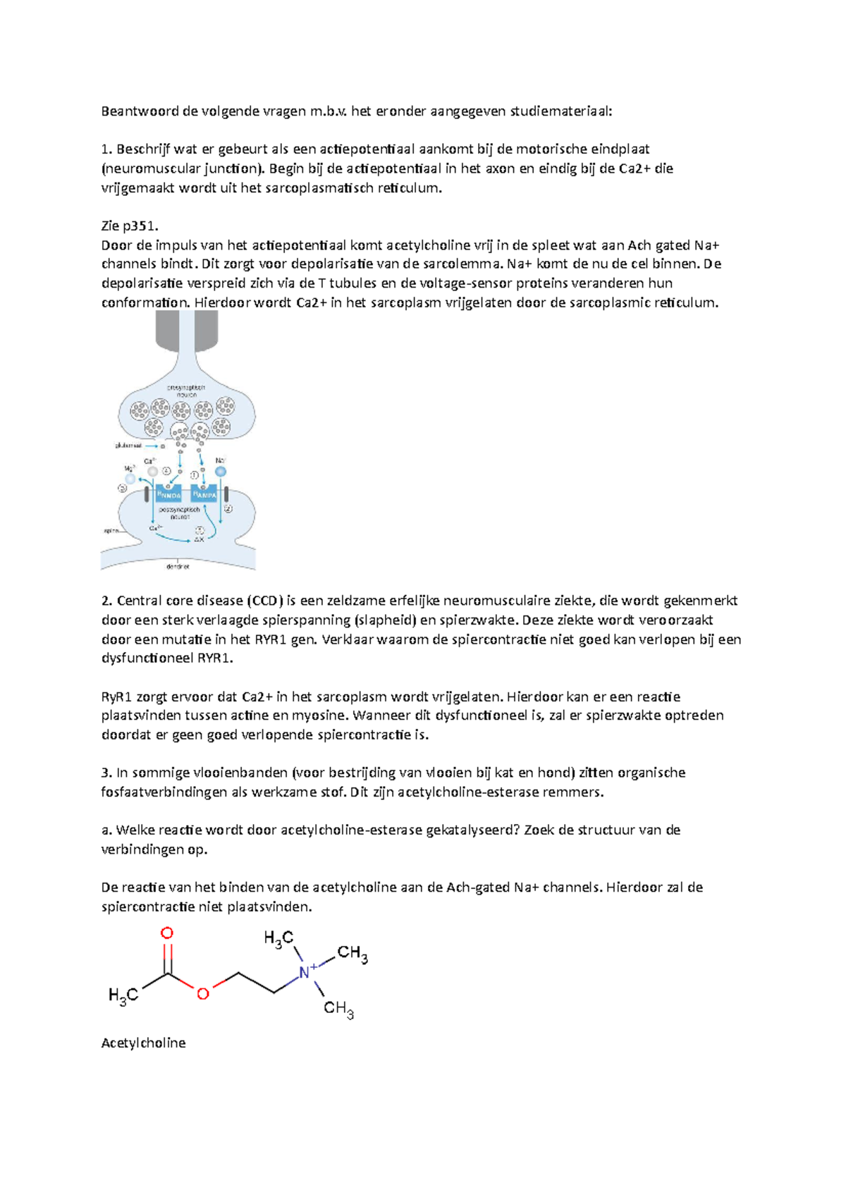 WG metabolisme 1 - Motorische eindplaat en spiercontractie - Beantwoord ...