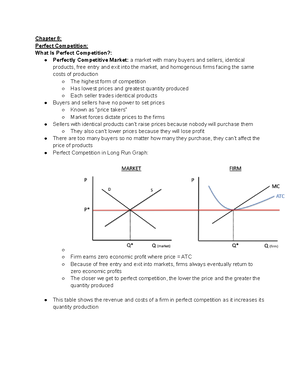 Microeconomics Chapter 6 Externalities and Types of Goods Part I ...