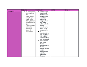 Reflejos patológicos - Reflejos patológicos De la cabeza: Reflejo de ...