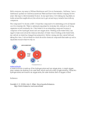 Lab Report Ionic and Covalent Bonds (21) - NAME: Ashleigh Pollan DATE: 10/30/ Lab Report Ionic ...