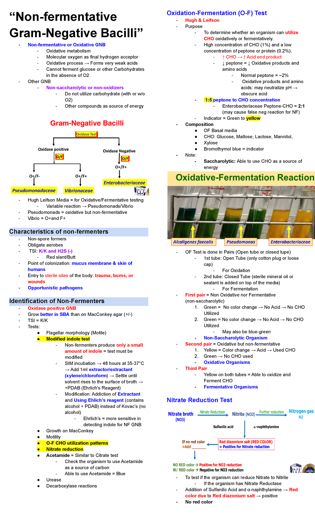 Bacte Lec Week 12 - “Non-fermentative Gram-Negative Bacilli” Non ...