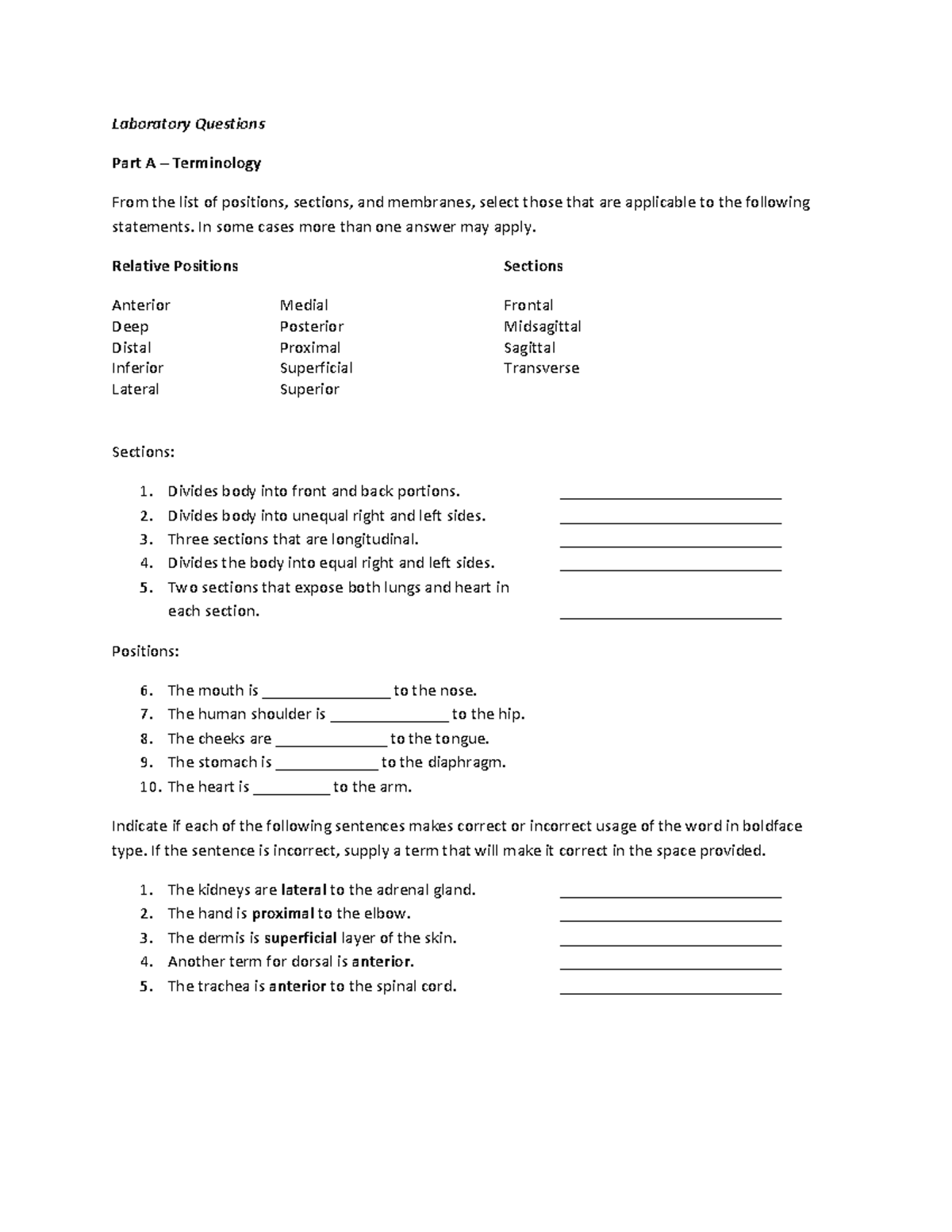 Laboratory questions in anatomy - Laboratory Questions Part A ...