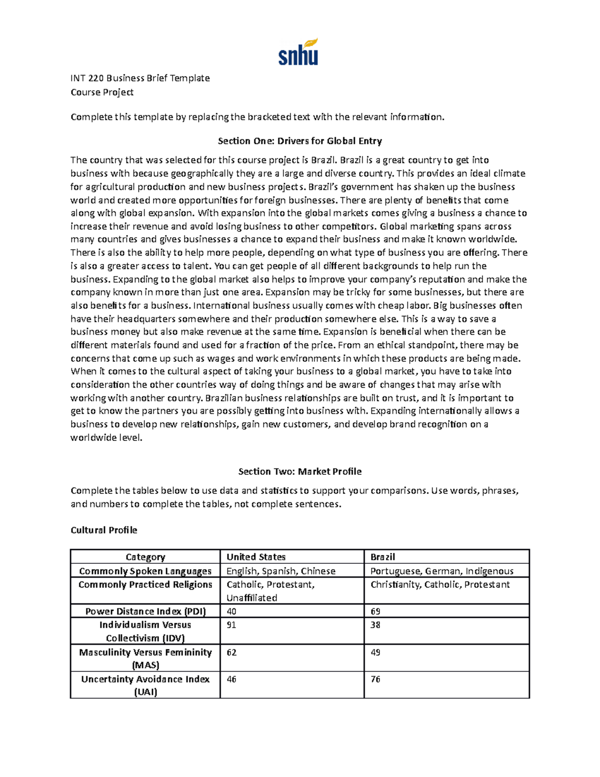 INT 220 Business Brief Template (2) - INT 220 Business Brief Template ...