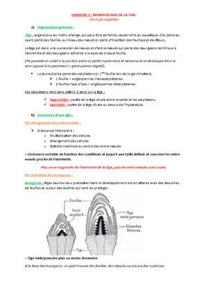 5 Les Lichens 2021 - A. Qu’est ce qu’un lichen? B. Le thalle de lichen ...