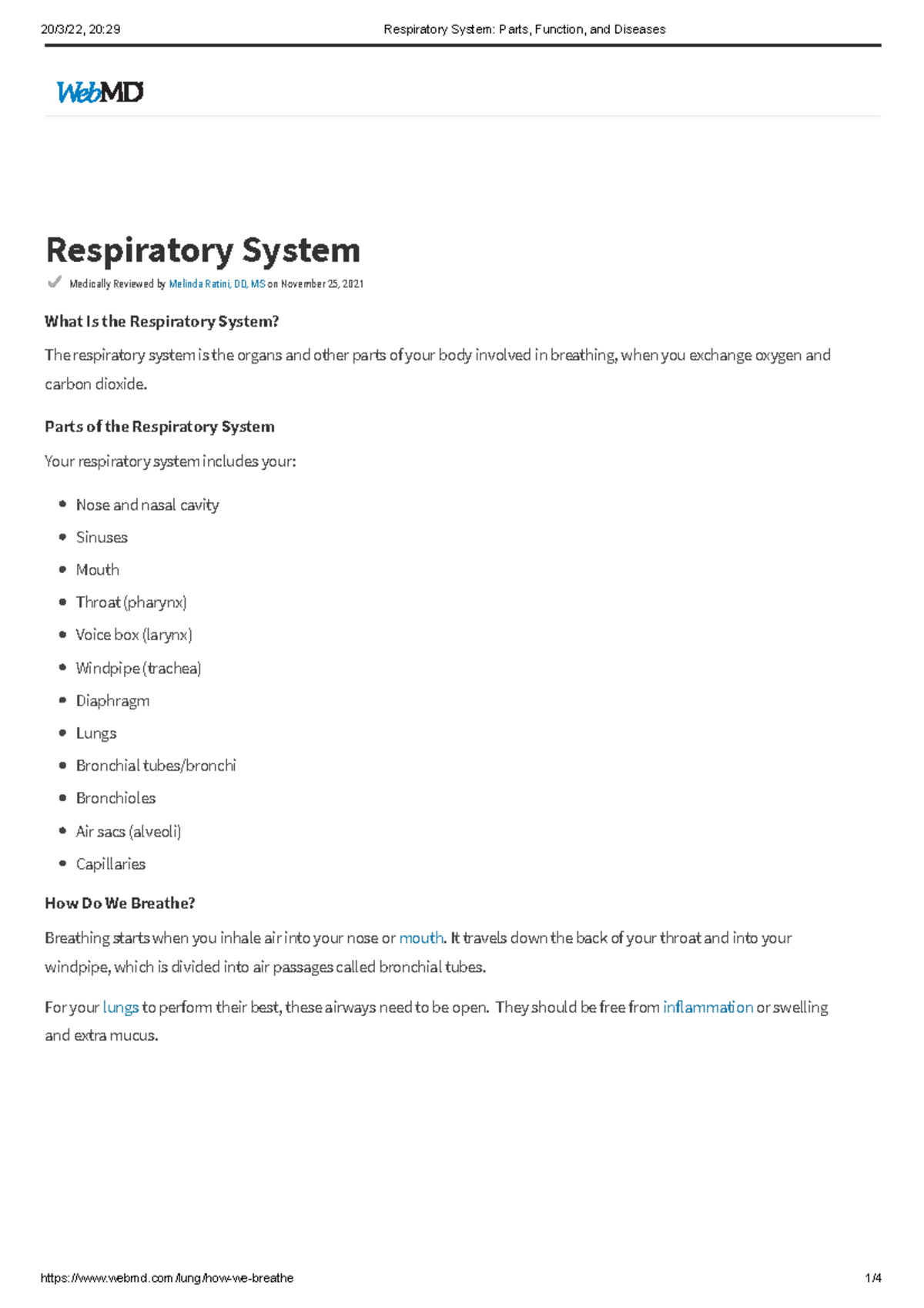 3-Respiratory System Parts, Function, and Diseases - Respiratory System ...