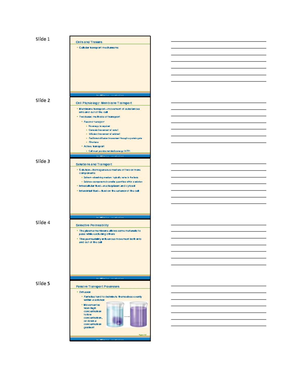 3-transport - 3-transport - Copyright © 2009 Pearson Education, Inc ...
